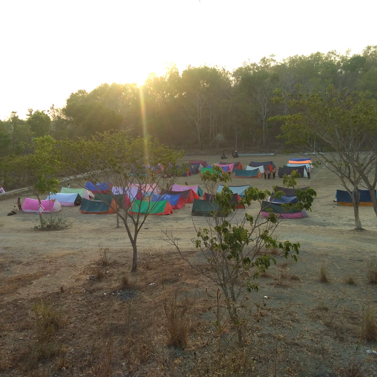 GERAKAN PRAMUKA KWARCAB KULON PROGO CAMPING SEMALAM DI BUKIT CUBUNG ...